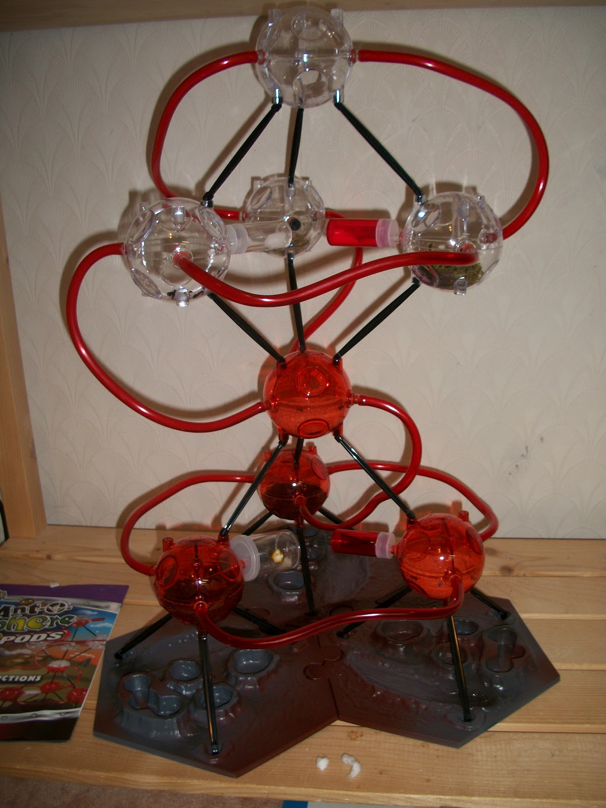 Wild Science Ant-O-Sphere – Eclectic Homeschooling